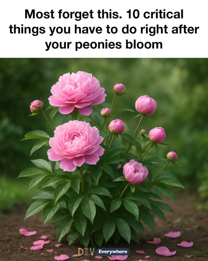 Most forget this. 10 critical things you have to do right after your ...